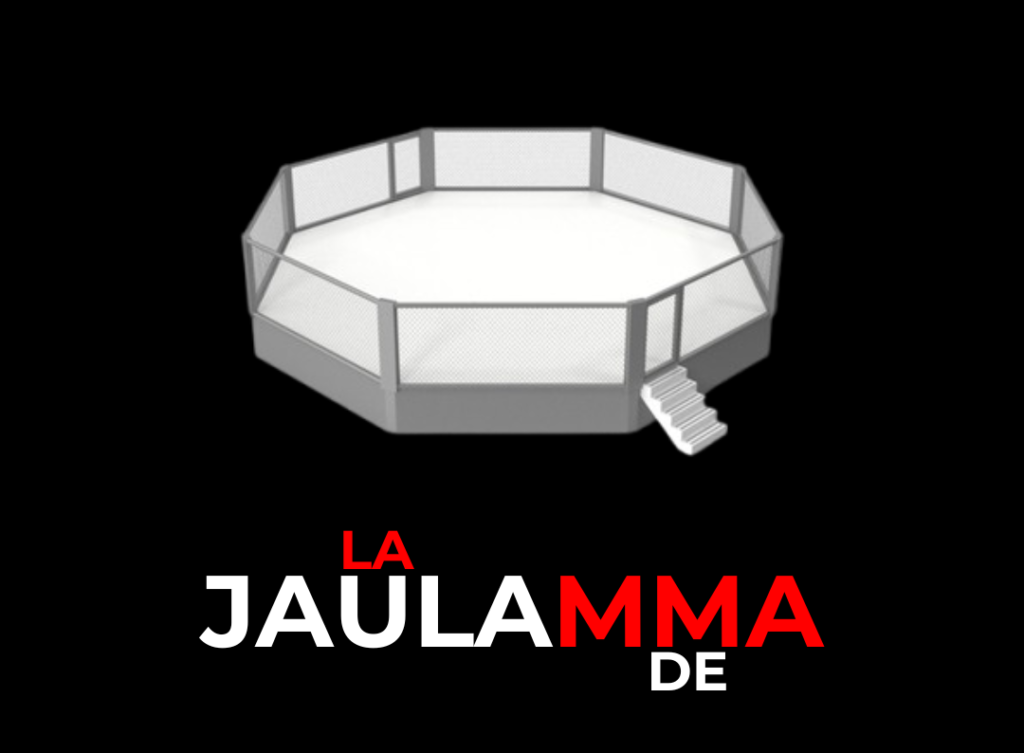 10 Mejores Gimnasios de MMA en Madrid